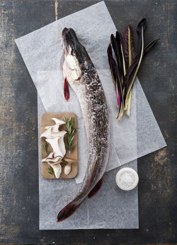 {Fisch Kauf Haus} Fischers Fritze fischt in der Müritz frische Fische ...
